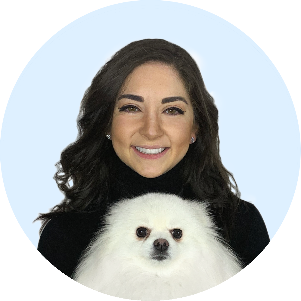 Meet Our Team | Supersmile – supersmile